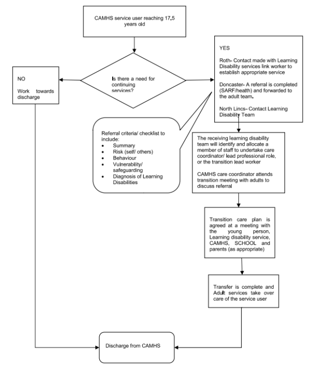 Transition children and young people’s mental health to adult mental ...