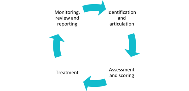Risk management framework – Rotherham Doncaster and South Humber NHS ...