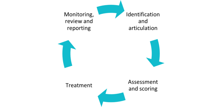 Risk management framework – Rotherham Doncaster and South Humber NHS ...