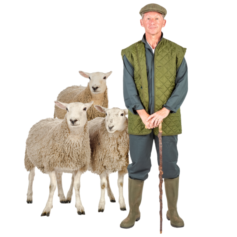 Promises report July 2024 – Rotherham Doncaster and South Humber NHS ...